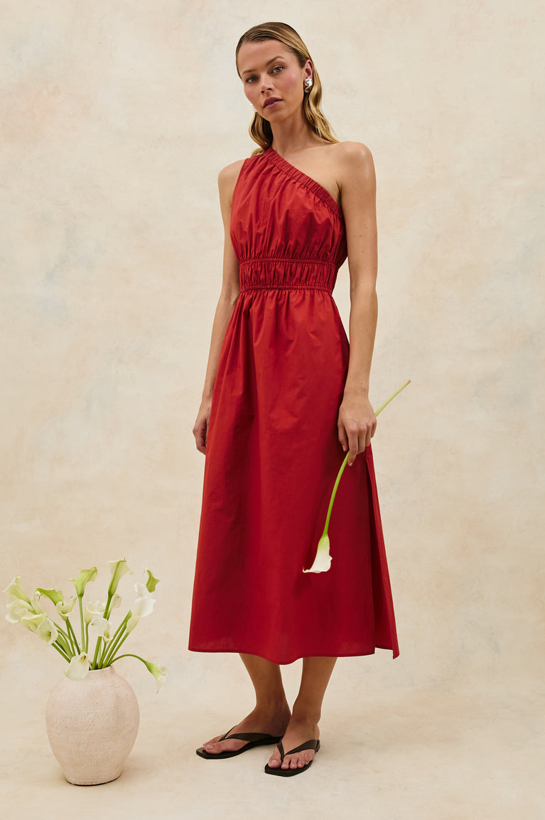 SELANI DRESS - TERRACOTTA – Rails